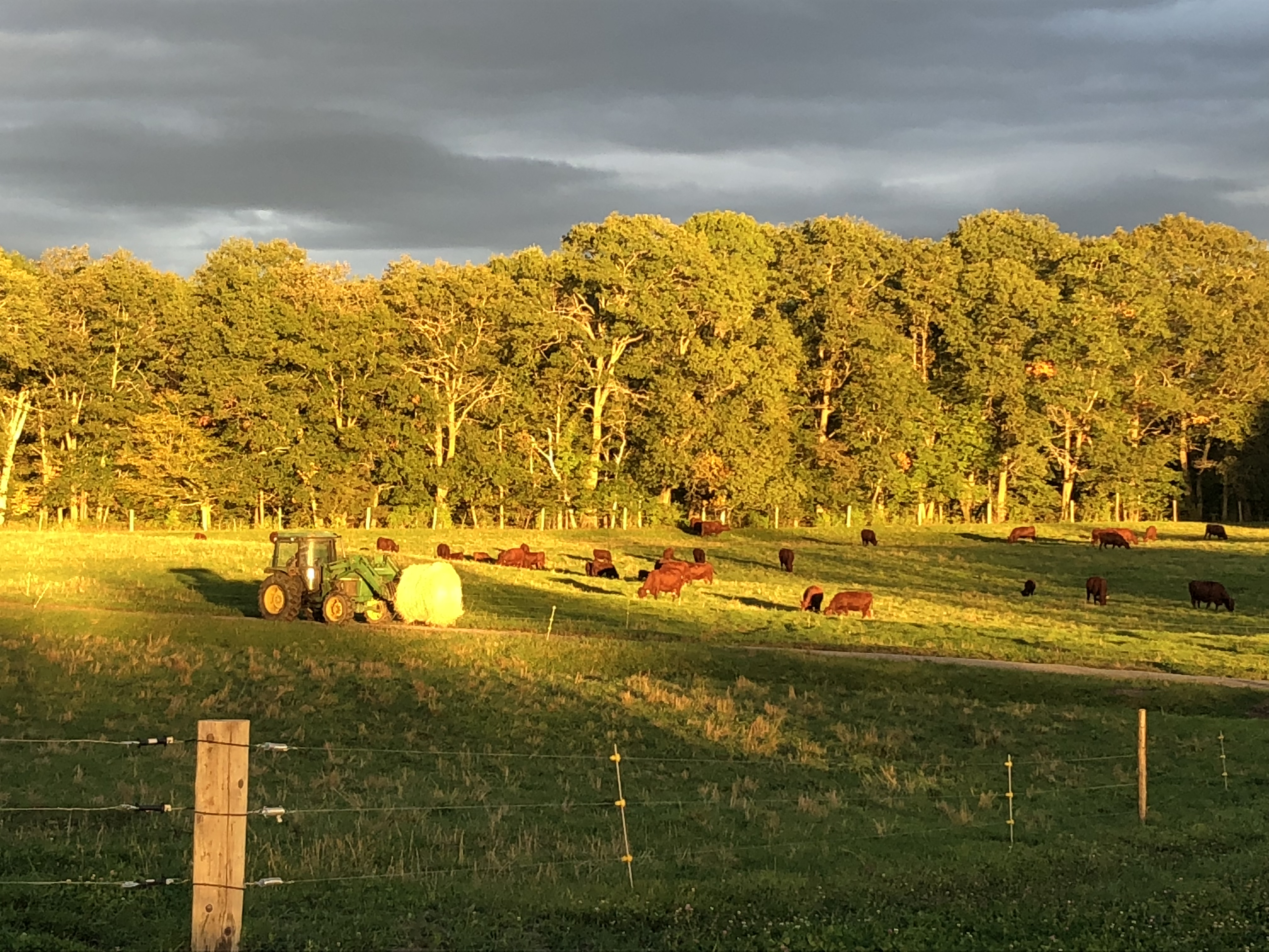 How to Choose a Homestead Property: 12 Question Checklist - Simply ...