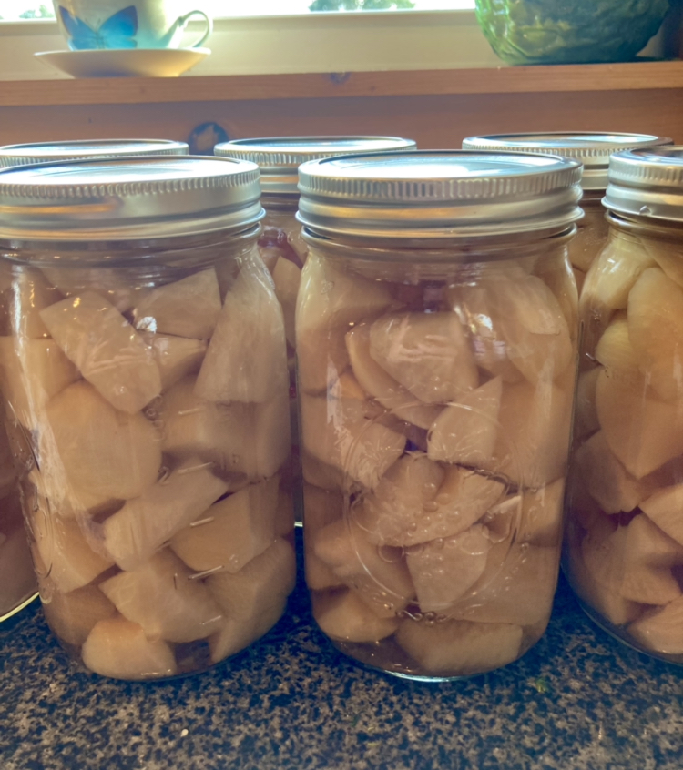 How to Pressure Can Turnip Roots for Storage - Simply Sustainable Family